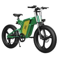 China Creative  20 Inch Electric Mountain Bike Off Road Ebike 2000W 48V 20AH for sale
