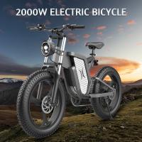 China Elegant 48V 20AH Fat Tire Electric Bike 2000w 1000w Aluminum Alloy Electric Bicycle for sale