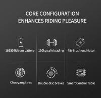 China Adults 1000W 48V 10AHX20 Off Road Fat Tire Electric Bike 20 Inch for sale