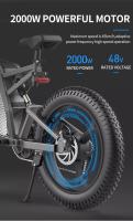 China Adults 1000W 48V 10AHX20 Off Road Fat Tire Electric Bike 20 Inch for sale