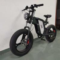 China Aluminum Alloy Fat Tire Beach Cruiser Electric Bike 1000watt High Speed for sale