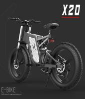 China Aluminum Alloy Fat Tire Beach Cruiser Electric Bike 1000watt High Speed for sale