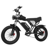 China 1000W Off Road Electric Bicycle 20MPH Adults / Teens Electric Bike for sale