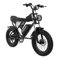 China 1000W Off Road Electric Bicycle 20MPH Adults / Teens Electric Bike for sale