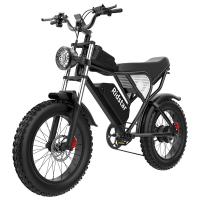 China 1000W Off Road Electric Bicycle 20MPH Adults / Teens Electric Bike for sale