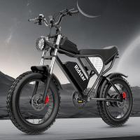 China Adults 20 Inch Ridstar Electric Bike 1000W 25MPH 7 Speed Electric Bicycle for sale