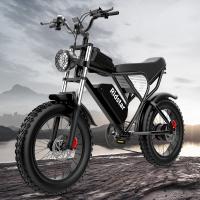 China Adults 20 Inch Ridstar Electric Bike 1000W 25MPH 7 Speed Electric Bicycle for sale
