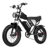 China 330lb load Off Road Fat Tire Electric Bike  Mountain Snow Electric Bicycle for sale