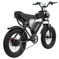 China 1000W 20 Inch Electric Bike 20MPH Adult Electric Bicycle 330lb Load for sale