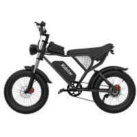 China 1000W 20 Inch Electric Bike 20MPH Adult Electric Bicycle 330lb Load for sale