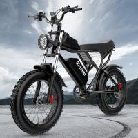 China Off Road Fat Tire Electric Bike 1kw for sale