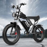 China Off Road Fat Tire Electric Bike 1kw for sale