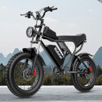 China 20'' Off Road Fat Tire Electric Bike With 48V 20AH Removable Battery for sale