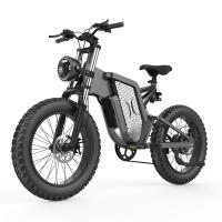 China 2000 Watt Fat Tire Electric Bike 48V 30AH Powerful Mountain Electric Bicycle for sale