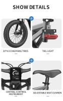 China 2000 Watt Fat Tire Electric Bike 48V 30AH Powerful Mountain Electric Bicycle for sale