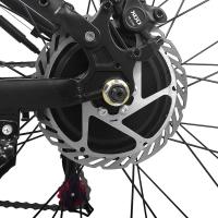 China Al Alloy 70-80Nm Ladies Mountain Ebike  Electric Mountain Snow Bicycle for sale