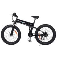 China 48v 750w Professional Ladies Electric Mountain Bike Lightest Mtb E Bike for sale