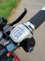 China Full Suspension 48v 750w 20 Inch Folding Fat Tyre Electric Bike 25-40km/H for sale