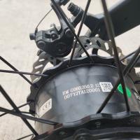 China Alloy Aluminum Folding 20 Inch Motorized Bike for sale