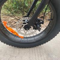 China Alloy Aluminum Folding 20 Inch Motorized Bike for sale