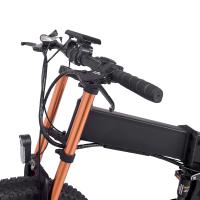 China 1000 Watt 48V 14AH Fat Tire Electric Mountain Bike For Woman 60km/H for sale