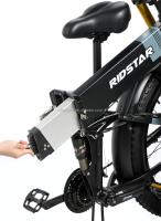 China High Speed Gear Full Suspension Electric Fat Bike 30-50Km/H With Disc Brake for sale