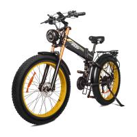 China Customizable Women Folding Fat Tire Electric Bike Dirt Ebike 48V 14Ah for sale