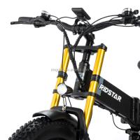 China Customizable Women Folding Fat Tire Electric Bike Dirt Ebike 48V 14Ah for sale
