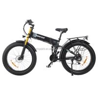 China Customizable Women Folding Fat Tire Electric Bike Dirt Ebike 48V 14Ah for sale
