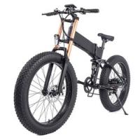 China Customizable Women Folding Fat Tire Electric Bike Dirt Ebike 48V 14Ah for sale