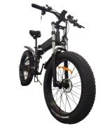 China Latest 48V 14Ah Lithium Battery Ridstar Electric Bike 750w Fat Tire for sale