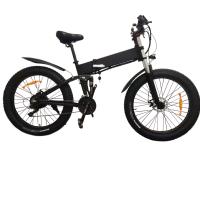 China Latest 48V 14Ah Lithium Battery Ridstar Electric Bike 750w Fat Tire for sale