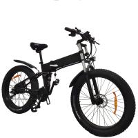 China Latest 48V 14Ah Lithium Battery Ridstar Electric Bike 750w Fat Tire for sale