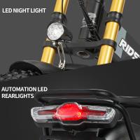 China Trendy 26 Inch Electric Bike Adult Electric Mountain Bike 21 Speed Gears for sale