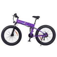 China Brushless Motor Electric City Bicycle 45Km/H 26 Inch E Bike For Holiday for sale