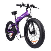 China Ce Rohs Approval 1000w Folding Ebike Folding Fat Tyre Electric Bike For Woman for sale