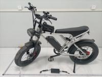 China high carbon steel 350w Electric Bike Electric Mid Drive Fat Bike 80Km for sale