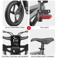 China Powerful 20 Inch Electric Bike 2000 Watt Electric Bicycle For Adults Cycling for sale