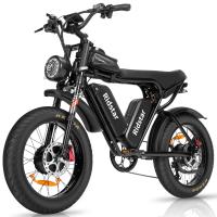China 52v Electric Assist Fat Bike Fat Tire E Mountain Bike 1000w 55KM/H for sale