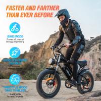 China 52v Electric Assist Fat Bike Fat Tire E Mountain Bike 1000w 55KM/H for sale