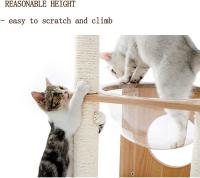China OEM ODM Accepted Elegant Cats Tree Space Capsule with Floating Nest and Hanging Balls for sale