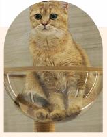 China Customized Size Wood Cat Tower with Multi-Level Climbing Frame Scratcher Components for sale