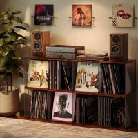 China Industrial Record Holder Shelf Vinyl Record Storage Furniture with Modern Design Style for sale