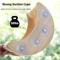 China ISO9001 2008 Certified FSCI BSCI Cat Hammock Bed Shelves Mounted With Strong Suction Cups for sale