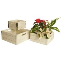 China Unfinished Wooden Apple Crates for Crafts Set of 3 Customized Shape Printing Crates for sale