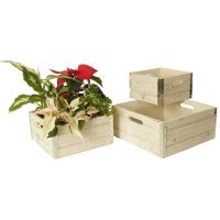 China Unfinished Wooden Apple Crates for Crafts Set of 3 Customized Shape Printing Crates for sale