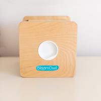 China Wooden Personalized Coin Bank for Kids OEM ODM Accepted Eco-friendly Bamboo Material for sale