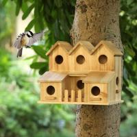 China Handmade Wooden Bird House with 8 Holes Sliding Lid Style Unfinished Birch Wood Color for sale