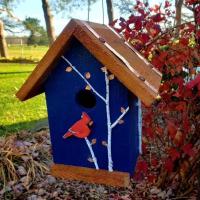 China TIMBER Wooden Colored Birdhouse Handmade Hanging Mini Wooden Box for Courtyard Garden for sale