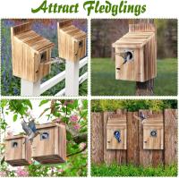 China Customized Logo Acceptable 2 Pack Cedar Bluebird Box Houses for Outside for sale